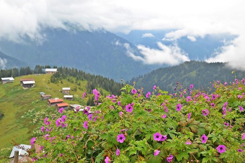 Pokut yaylası ve Karagöl gezi rehberi