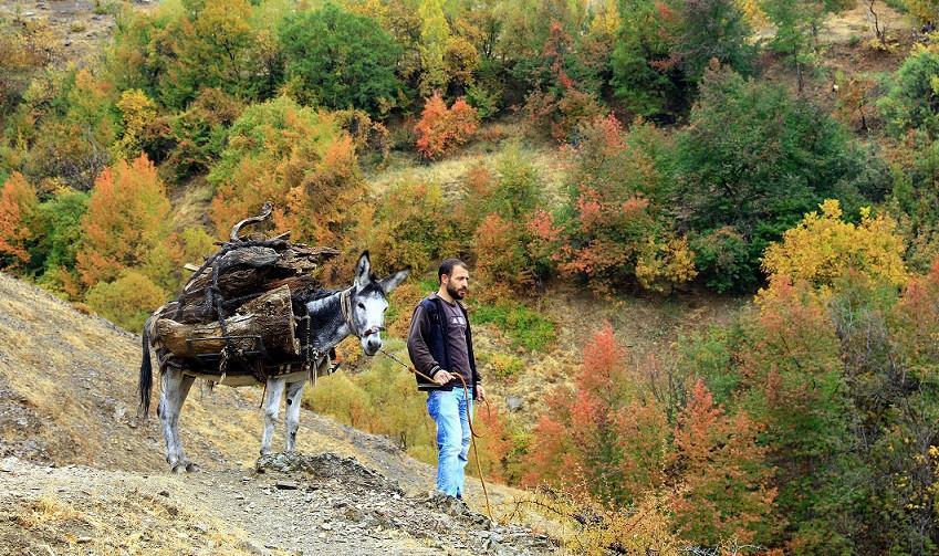 Bitlis Hizan'da sonbahar fotoğrafları