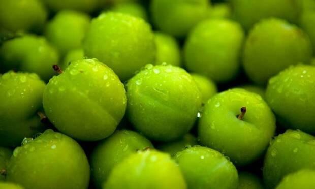 Sevilen meyve erik her derde deva! | Buket Adanç Köşe Yazısı - Hürriyet ...