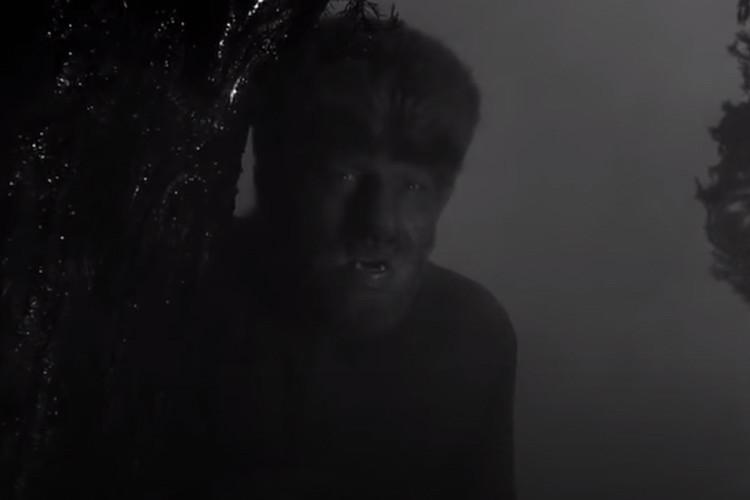 En İyi Kurt Filmleri - Yeni Ve Eski En Çok İzlenen Kurt Filmleri ...