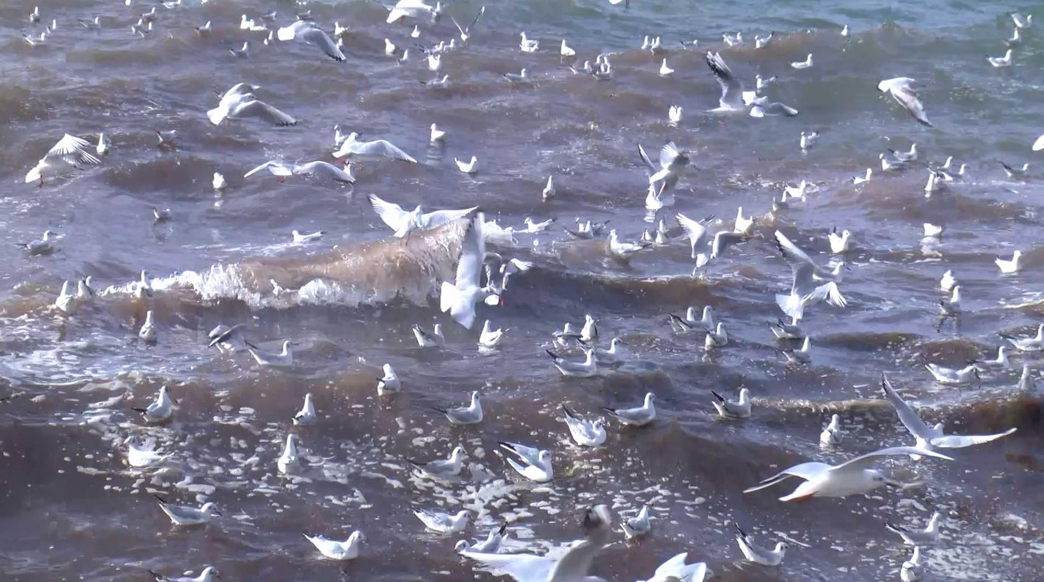 Lodos ne zaman bitecek? Lodos nedir, nereden eser? İşte detaylar - Son ...