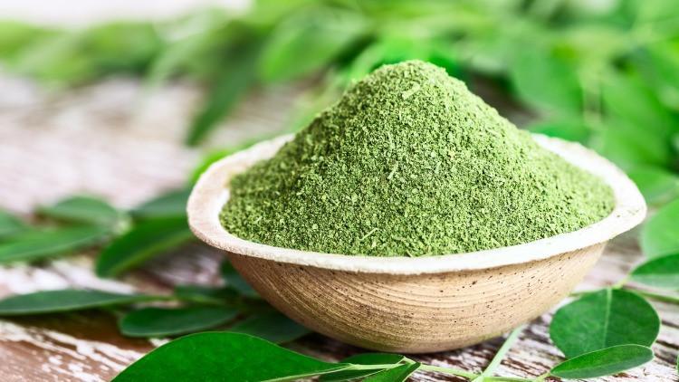 Moringa bitkisi nedir, faydaları nelerdir? Moringa bitkisinin kullanımı ...