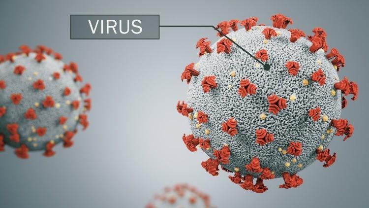 Eris varyantı nedir, belirtileri nelerdir? Covid-19'un yeni varyantı ...