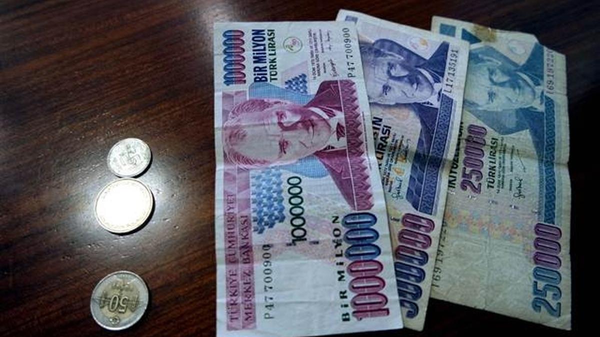 Al Memeli K k Kelebek Ka t 100 Bin Lira T retme Gazete Hassy