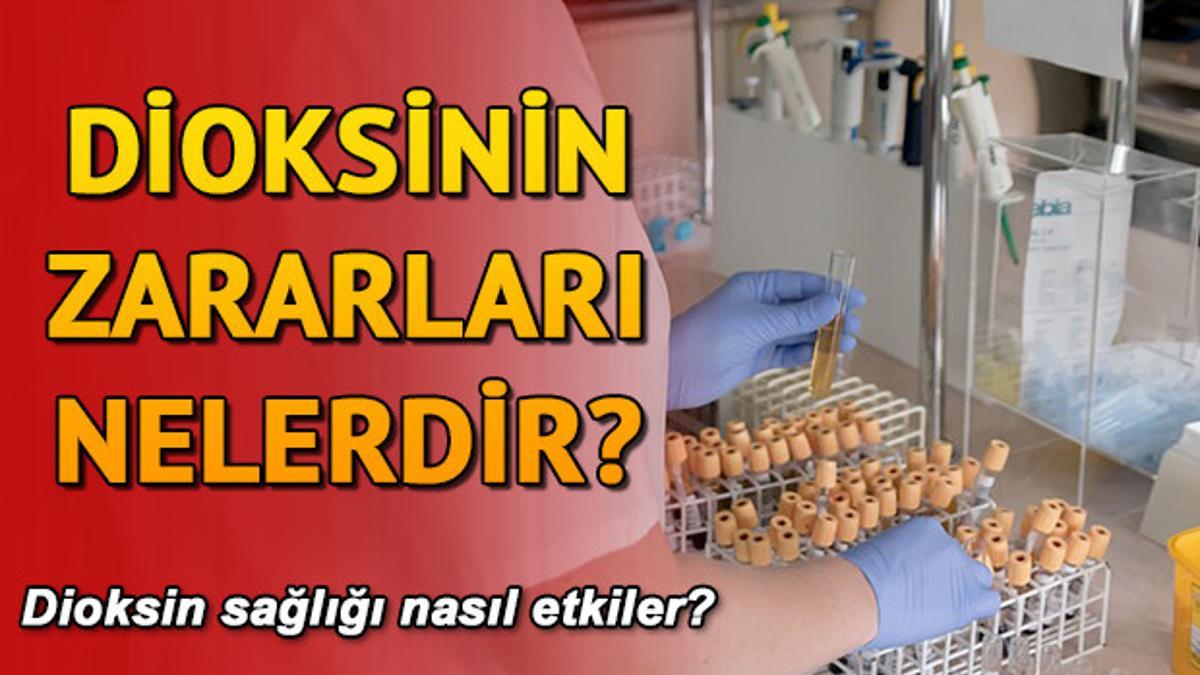 Dioksin nedir? Dioksin sağlığı nasıl etkiler?