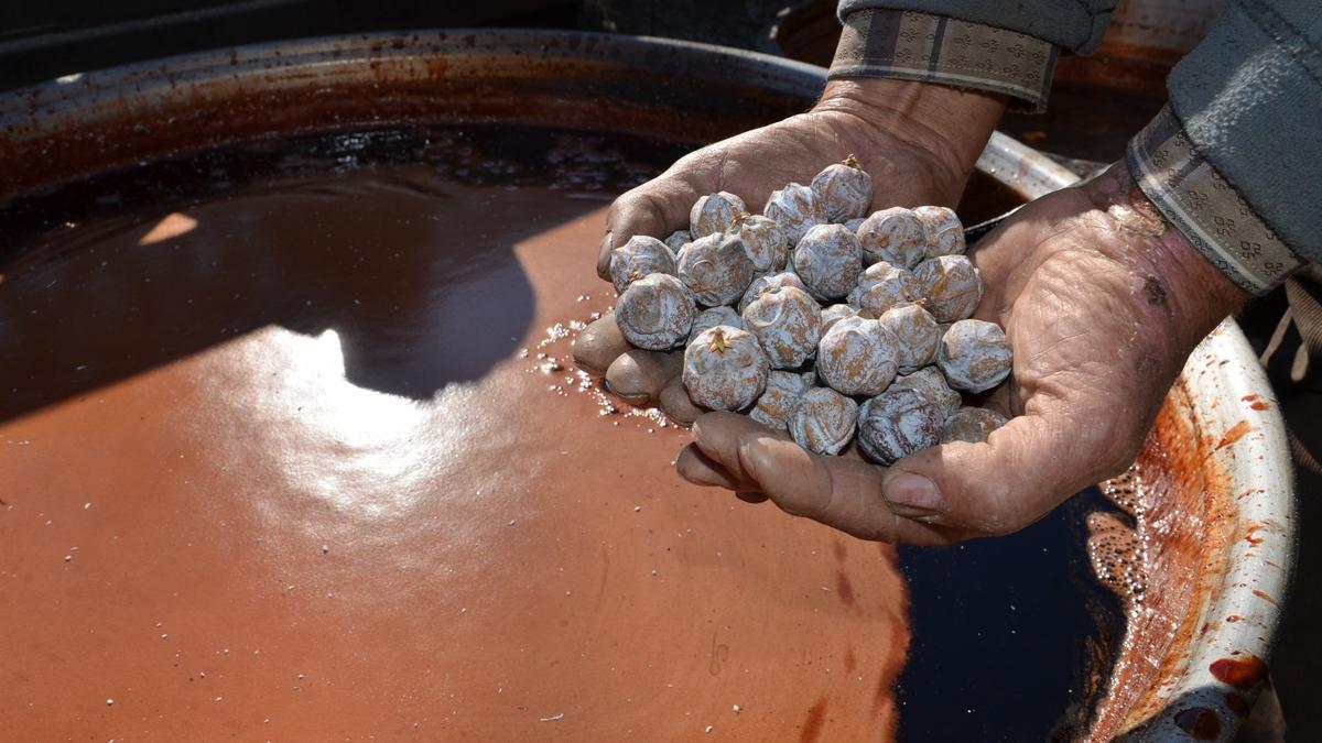 Andız nedir? İşte andız pekmezinin faydaları - Sağlık Haberleri