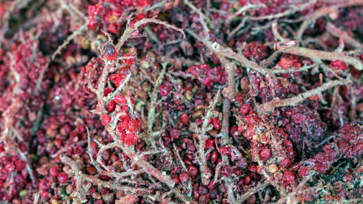 Sumak Nedir? Sumağın Faydaları Nelerdir? Sumak Nasıl Kullanılır?