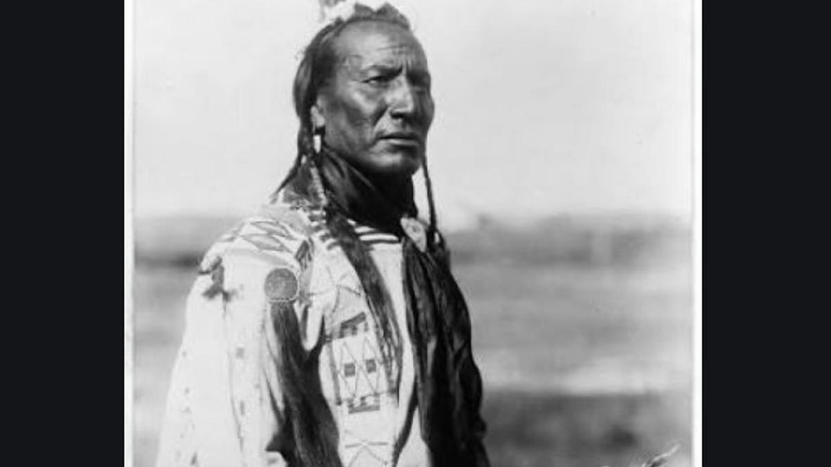 Mohikan ne demek ve nedir? - Son Dakika Flaş Haberler