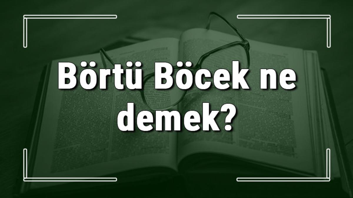 Börtü Böcek ne demek? Börtü Böcek deyiminin anlamı ve örnek cümle ...