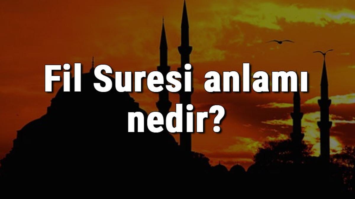 Fil Suresi anlamı nedir? Fil Suresi konusu, hikayesi ve hakkında bilgi