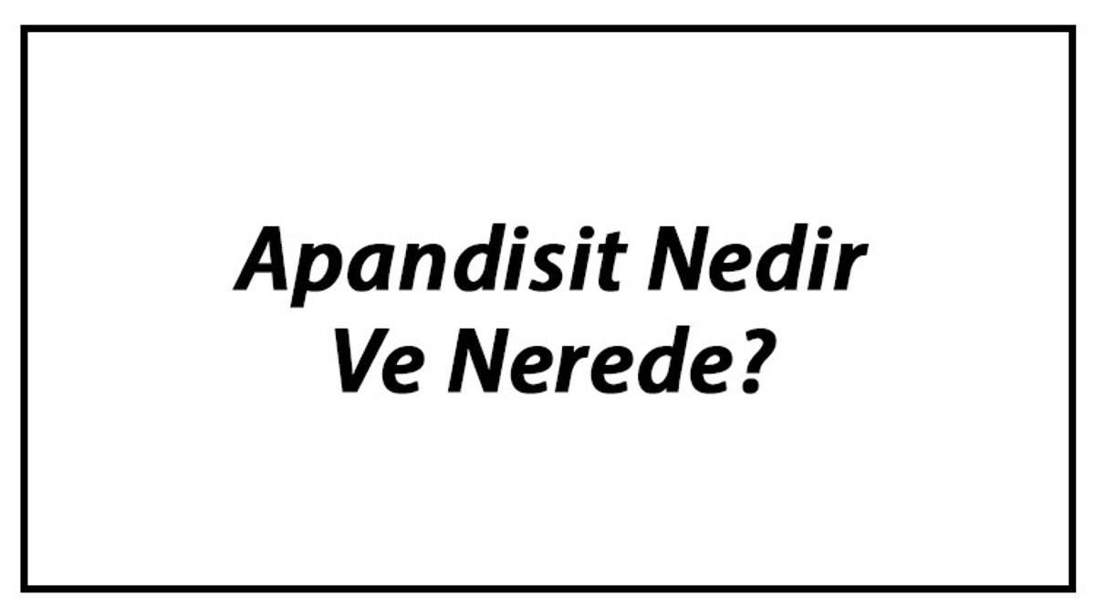 Apandisit Nedir Ve Nerede? Apandisit Ne İşe Yarar Ve Görevleri Hakkında ...