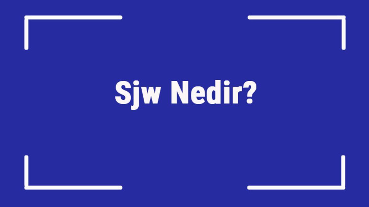 Sjw Nedir? Sjw (Social Justice Warrior) Akımı Ve Filmleri Hakkında Bilgi
