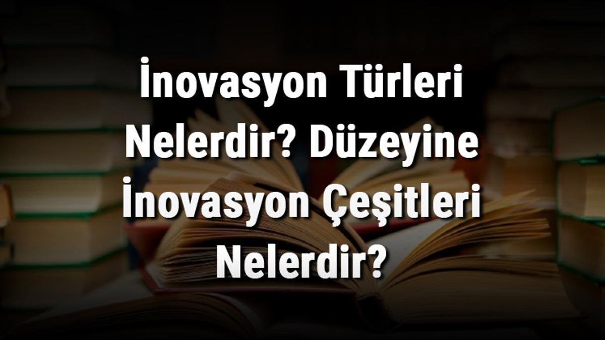 İnovasyon Türleri Nelerdir? Düzeyine İnovasyon Çeşitleri Nelerdir?