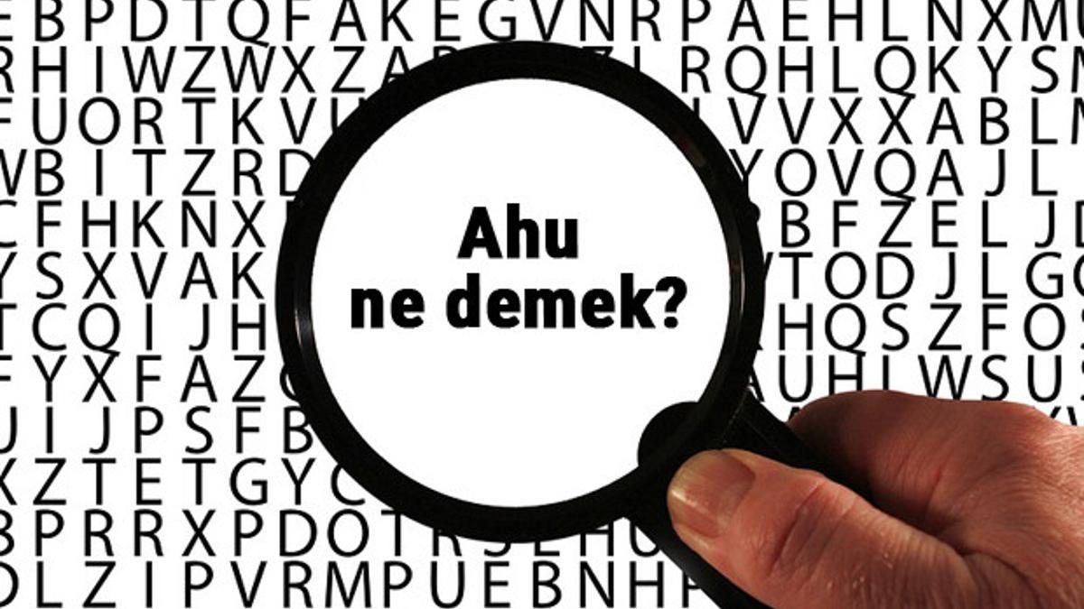 Ahu Ne Demek, Ne Anlama Geliyor? Ahu Kelimesinin Anlamı Nedir? TDK'ya ...