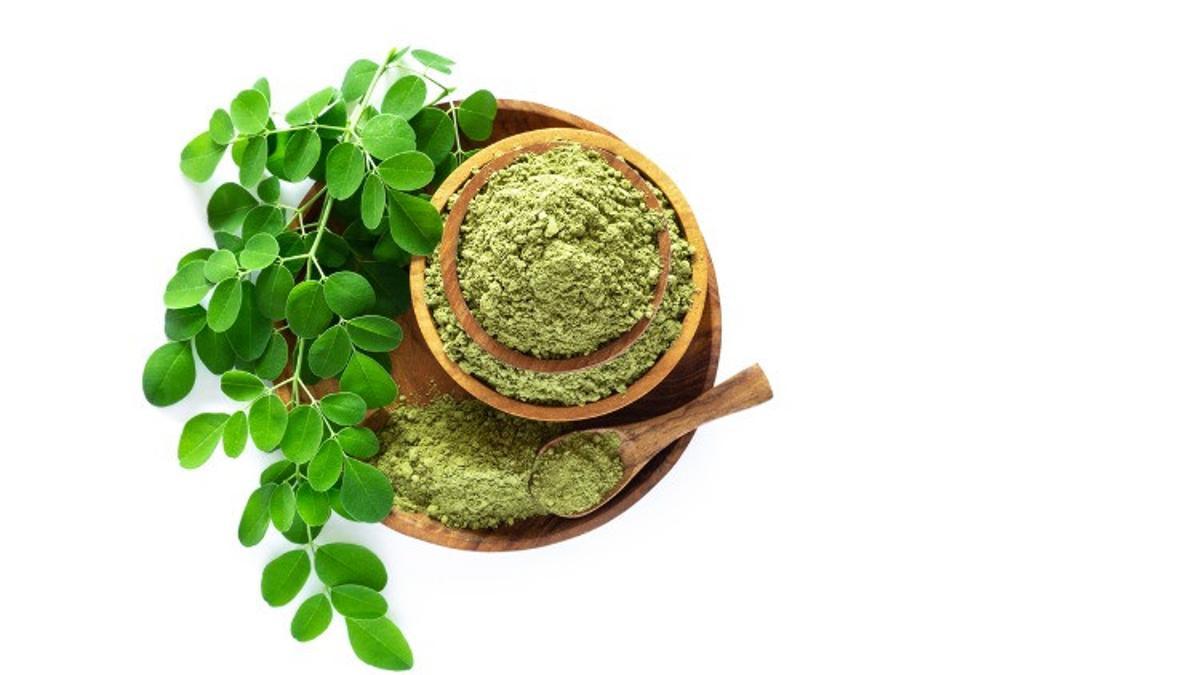 Moringa bitkisi nedir, faydaları nelerdir? Moringa bitkisinin kullanımı ...
