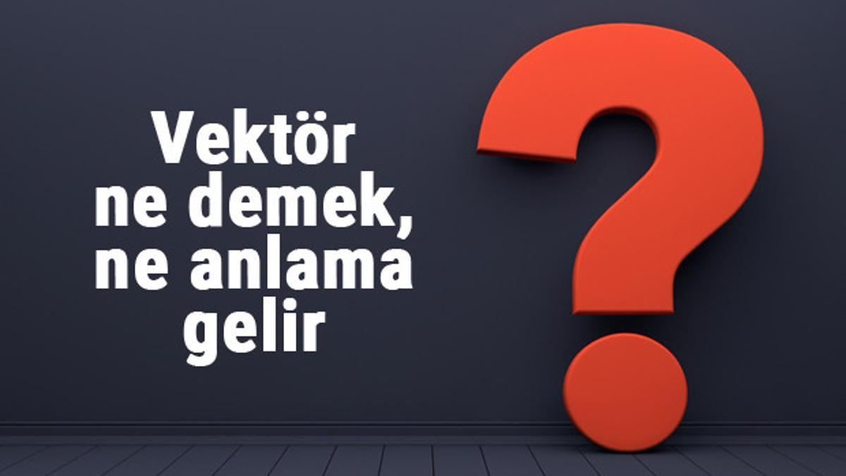 Vektör ne demek, ne anlama gelir? Vektör kelimesinin TDK sözlük anlamı