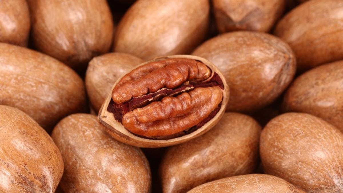 Pikan cevizi nedir, nerede yetişir? Pikan cevizinin faydaları