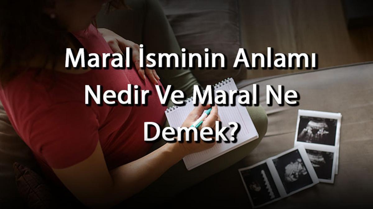 Maral İsminin Anlamı Nedir Ve Maral Ne Demek? Maral Adının Özellikleri ...