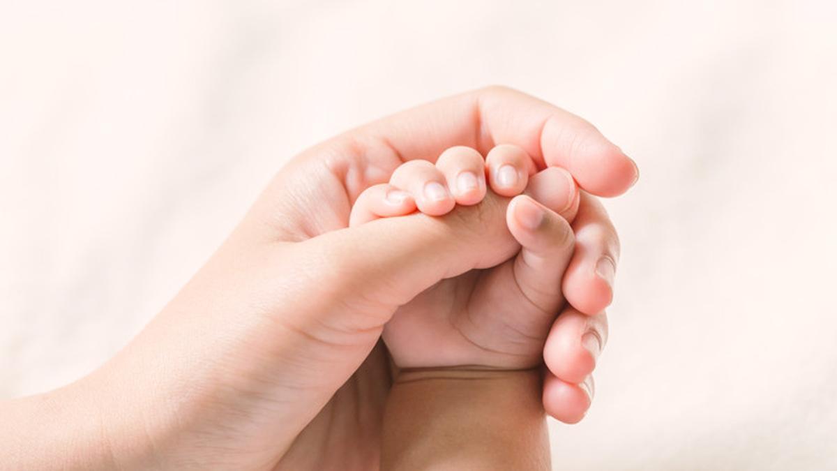 Şebnem isminin anlamı nedir ve Şebnem ne demek? Şebnem adının ...