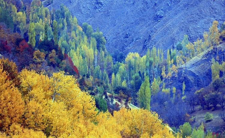 Bitlis Hizan'da sonbahar fotoğrafları