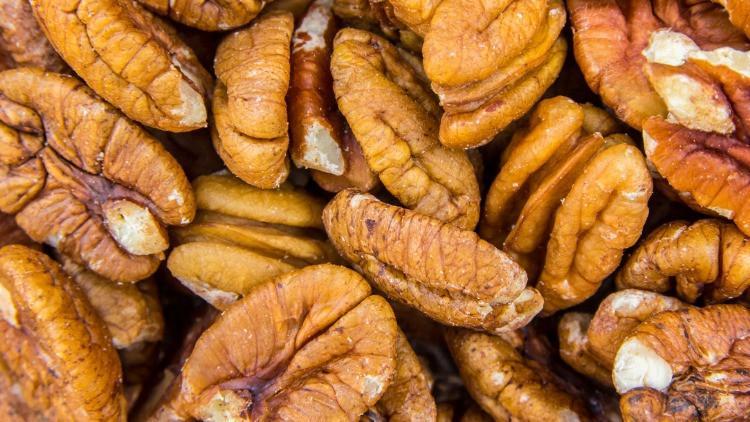 Pikan Cevizi Nedir, Kilosu Ne Kadar? Pikan Cevizi Faydaları - Mahmure