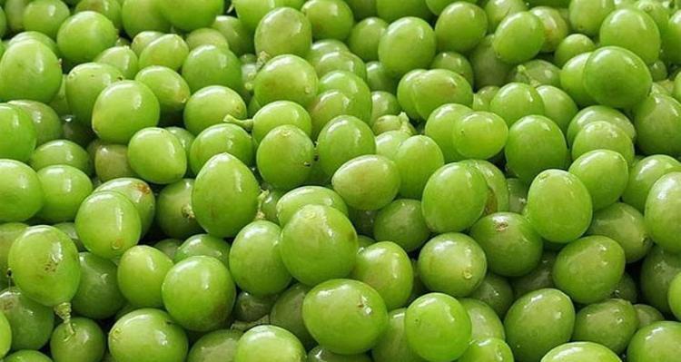 Koruk nedir? Koruk suyu nasıl ve neyden yapılır? Evde koruk suyu tarifi ...