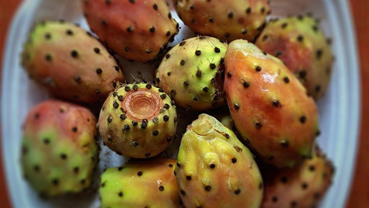 Anneler, babutsalar ve küçük güzellik babutsalar - Magazin Haberleri