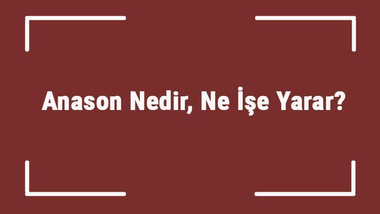 Anason Nedir, Ne İşe Yarar? Anasonun Faydaları Ve Zararlari Nelerdir?