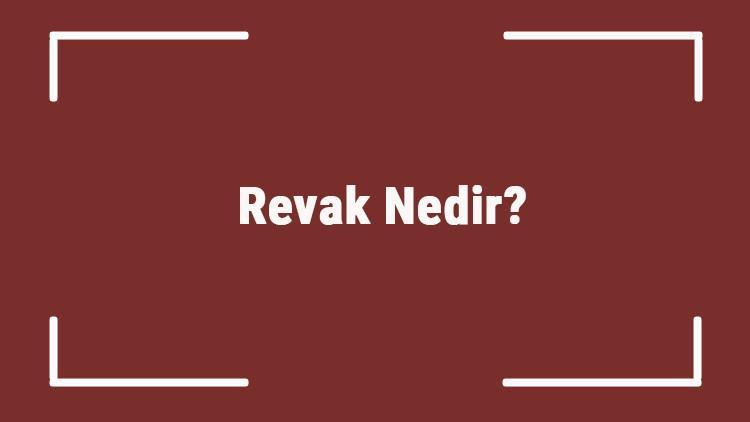 Revak Nedir? Mimari'de Revak Nerelerde Kullanılır, Örnekleri Ve Tanımı