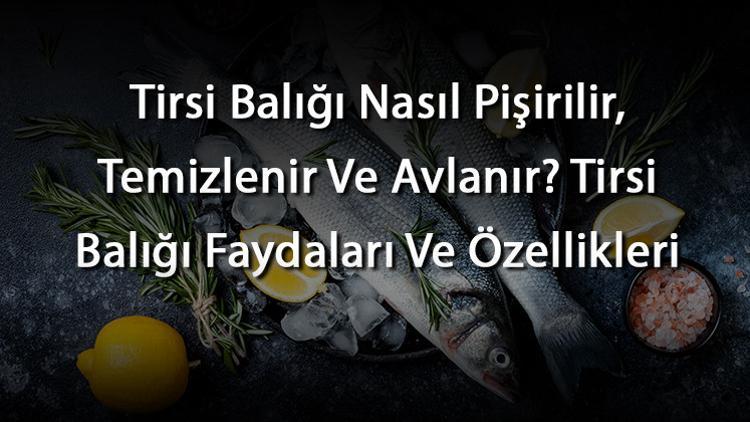 Tirsi Balığı Nasıl Pişirilir, Temizlenir Ve Avlanır? Tirsi Balığı ...