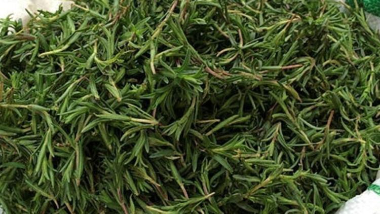 Zahter nedir, ne demek ve faydaları nelerdir? - Mutfak Tüyoları