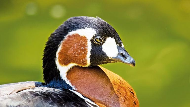 ‘Birer birer eksiliyor dostlar’ - Son Dakika Magazin Haberleri