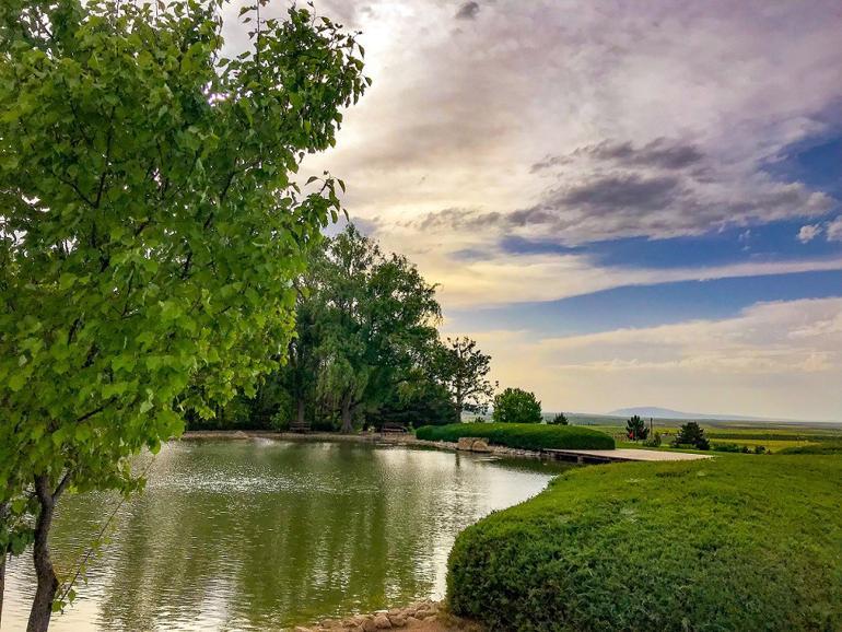 Sonbaharın renkleri: Arboretumlar ve botanik bahçeleri | 6 ŞEHİR 7 ...