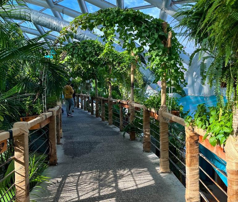 Sonbaharın renkleri: Arboretumlar ve botanik bahçeleri | 6 ŞEHİR 7 ...