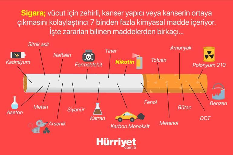 Sofralarımıza gelen sebze ve meyvelerde nikotin tehlikesi! Üreticilerin ...